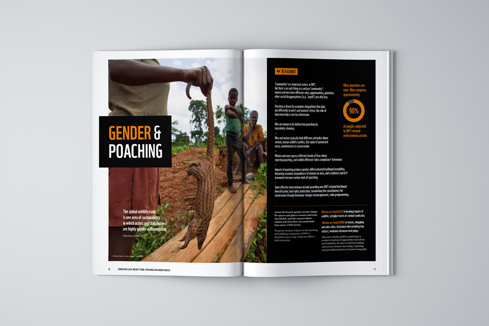 wwf ⋆ Pinup Design Agency